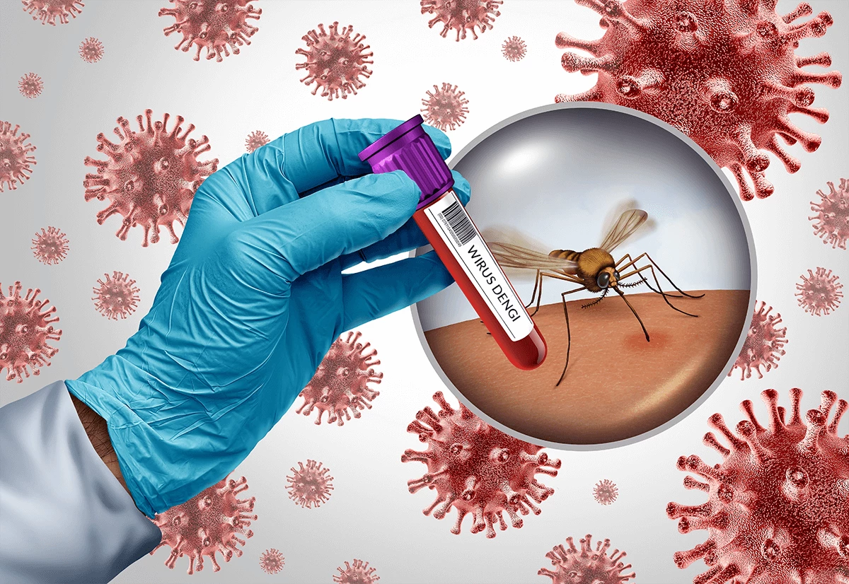 Denga | Objawy, leczenie i szczepionka na gorączkę denga